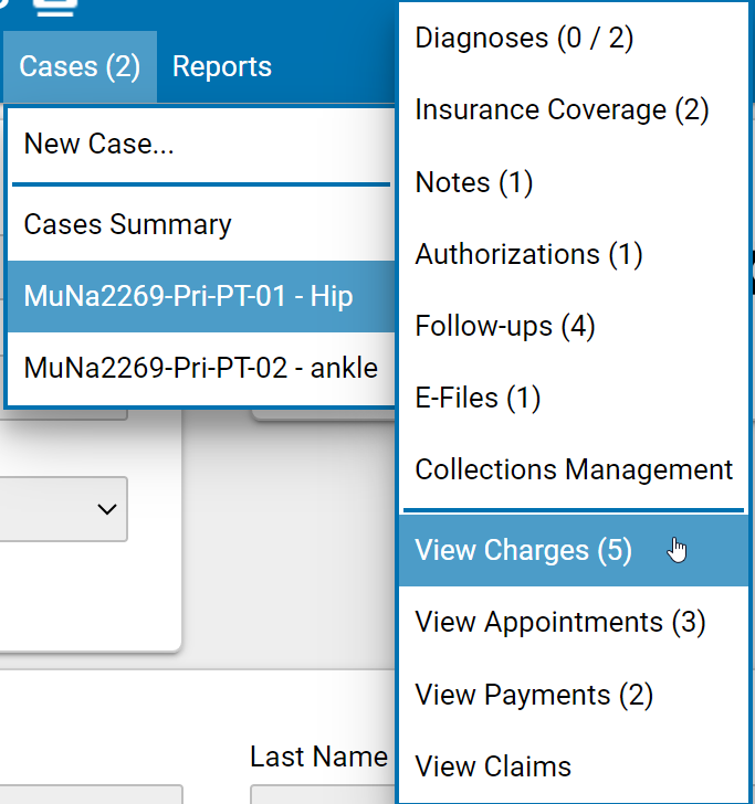 View Case Charges – Practice Pro Knowledge Base