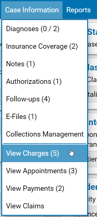 View Case Charges – Practice Pro Knowledge Base