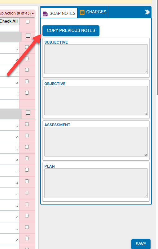 Adding Daily Notes from the Flowsheet – Practice Pro Knowledge Base