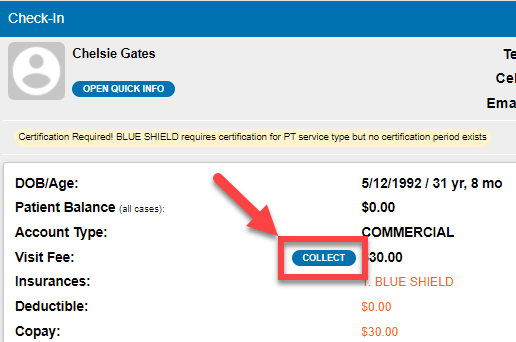 Collect a Patient Co-Pay – Practice Pro Knowledge Base