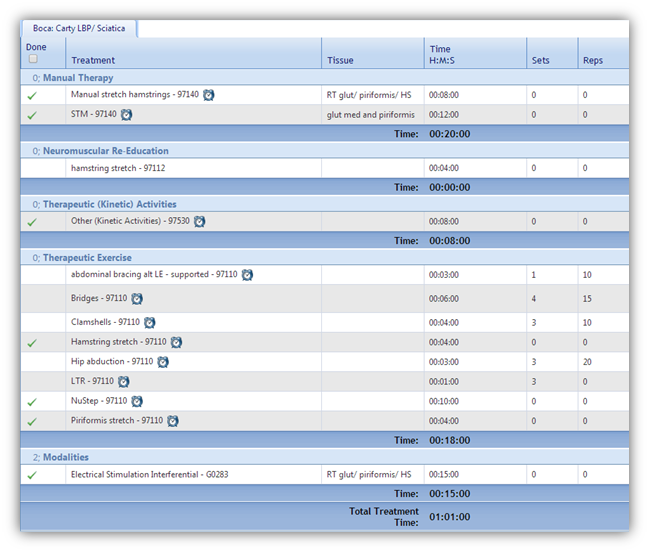 Flowsheet Template Styles – Practice Pro Knowledge Base
