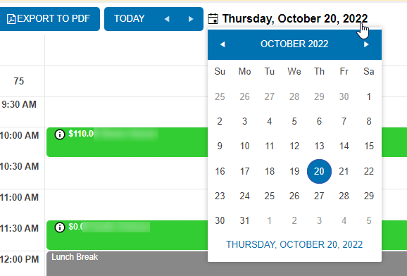 Selecting a Scheduler View – Practice Pro Knowledge Base